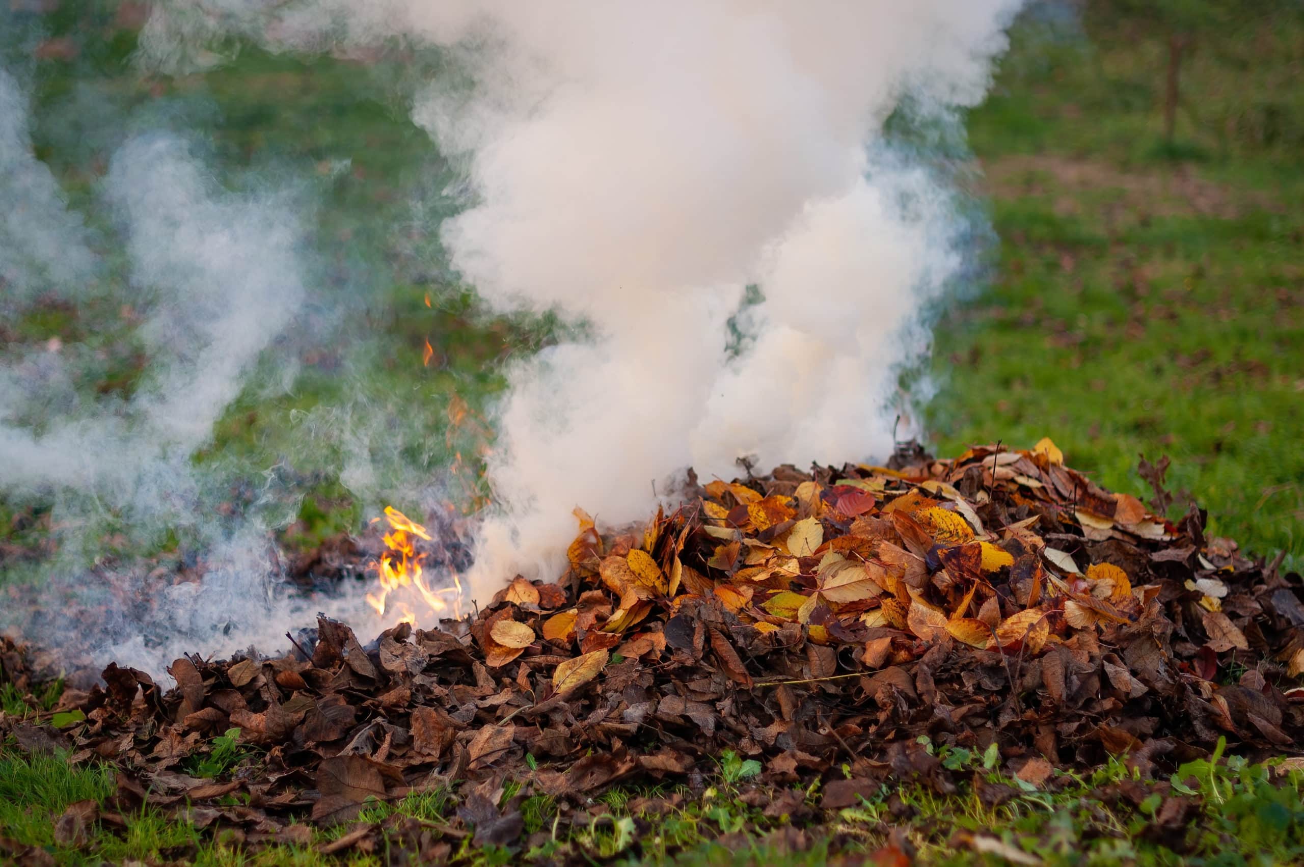 Peut-on brûler des déchets verts dans son jardin